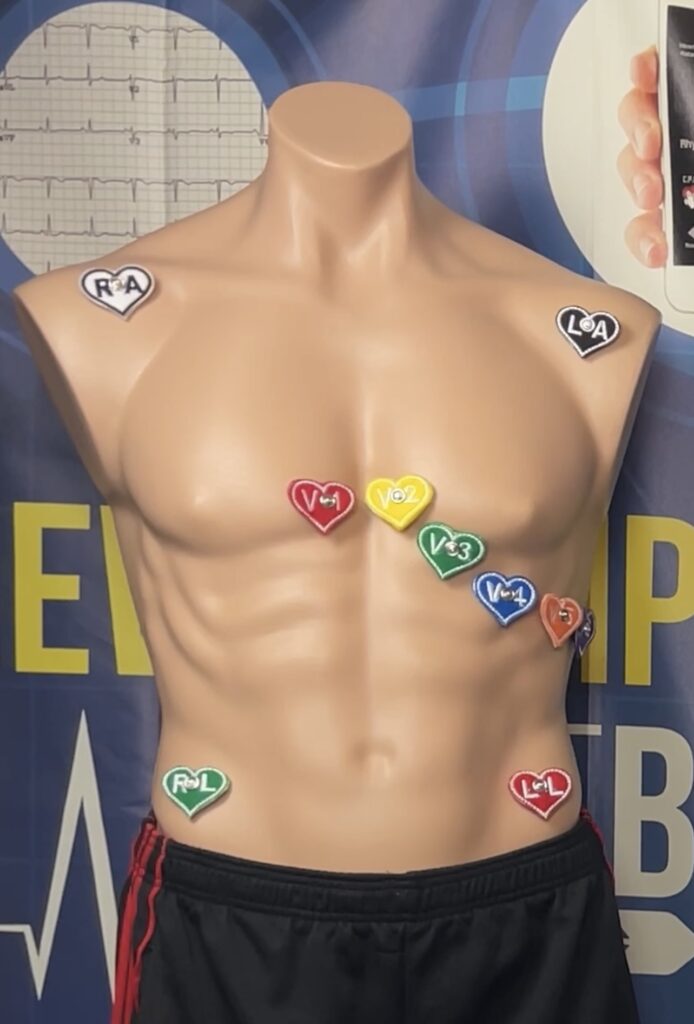 Cyndi Leads – 12 Lead ECG Placement Trainer – includes 12 Lead Cable, Manikin model, & Handmade ...