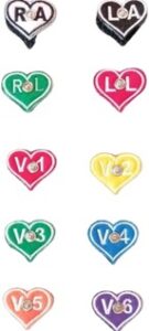 Cyndi Leads – 12 Lead ECG Placement Trainer – Handmade, Stitched, and ...