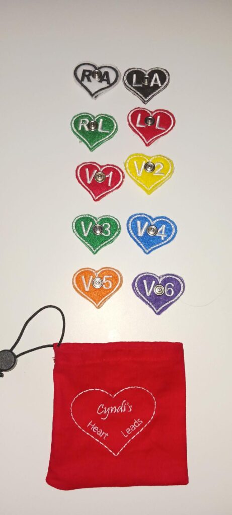 Cyndi Leads – 12 Lead ECG Placement Trainer – includes 12 Lead Cable ...